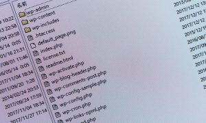 FFFTP の使い⽅とは？ダウンロードから設定⽅法、接続できない場合の対処法まで解説！