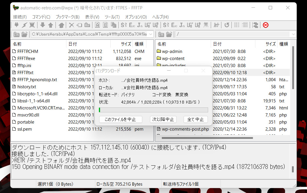 FFFTP の使い⽅とは？ダウンロードから設定⽅法、接続できない場合の対処法まで解説！